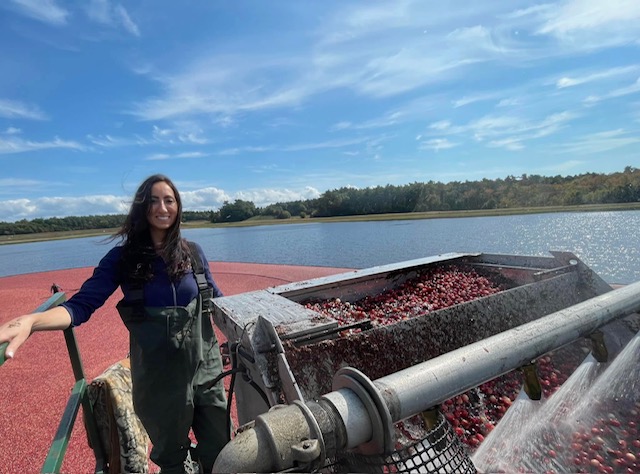Get to know Wareham’s new State Senator Kelly Dooner | Wareham